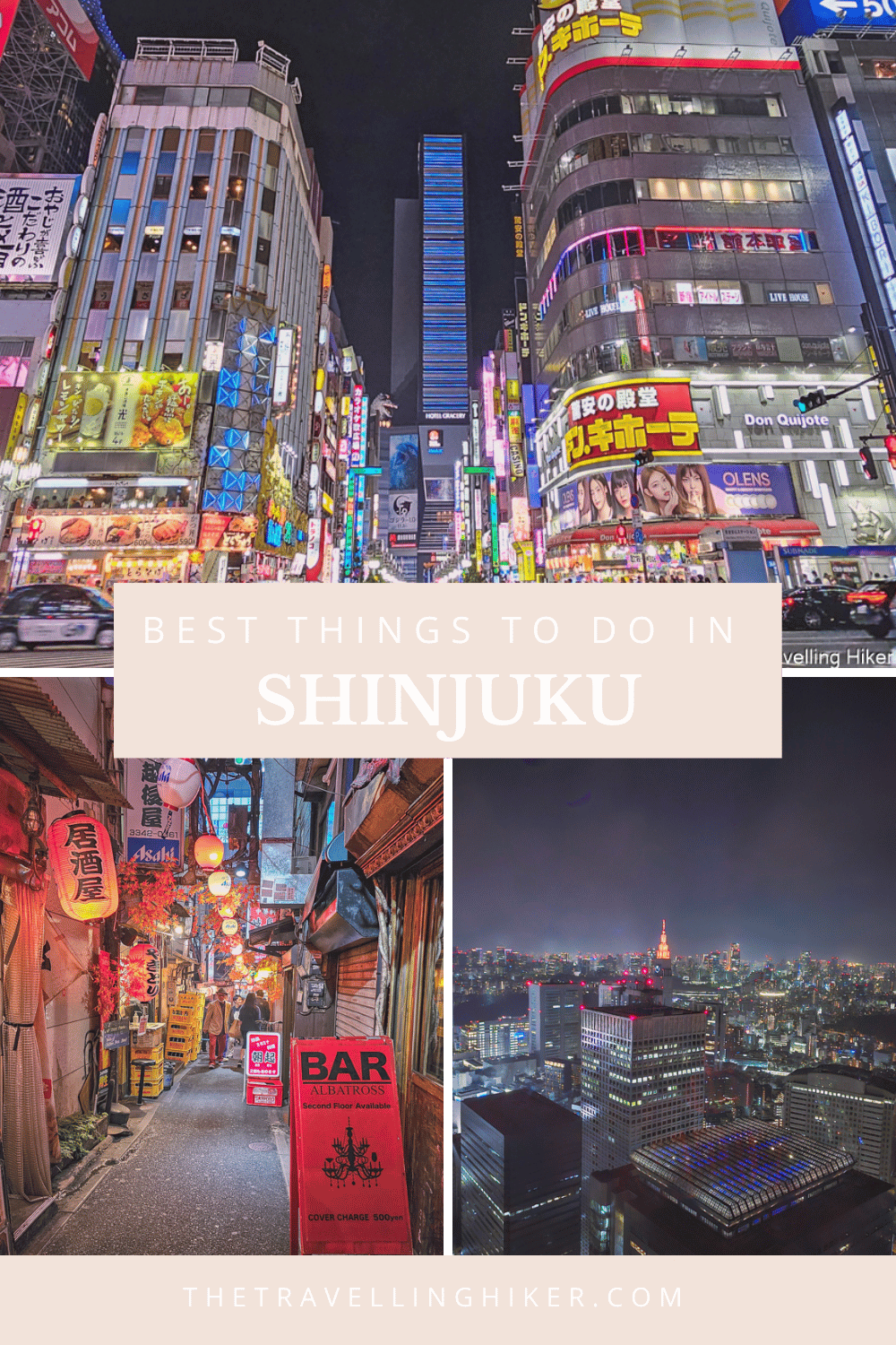 15 Best Things To Do In Shinjuku [Tokyo Guide] – DJFOZM
